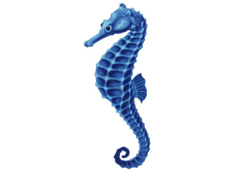 POOL360 - BLUE SEAHORSE 2"x4"